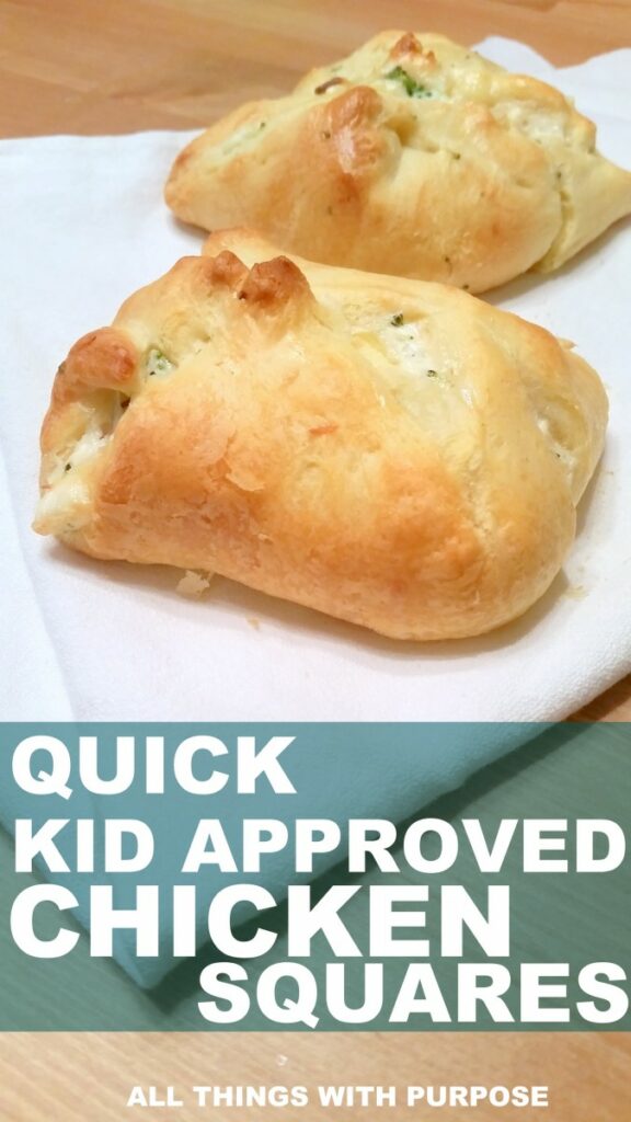 Quick and Easy Chicken Squares