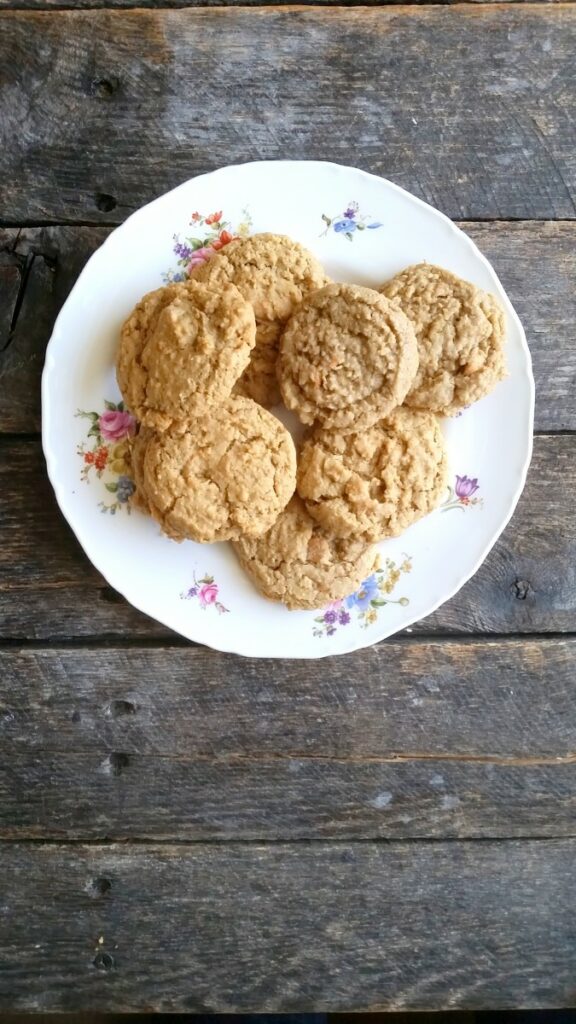 My Favorite (No Fail) Oatmeal Scotchies