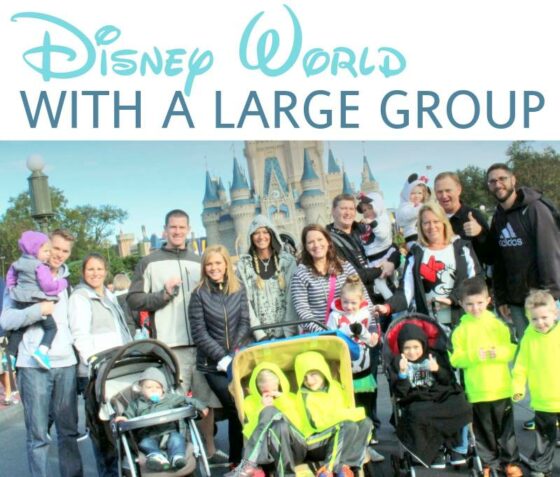 Visiting Disney World with a Large Group | All Things with Purpose