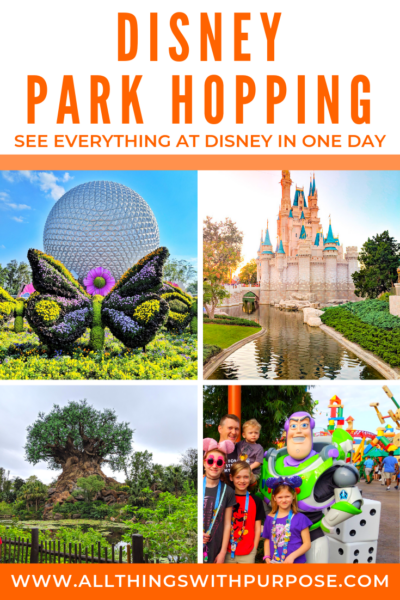 Disney World in One Day with a Park Hopper Ticket