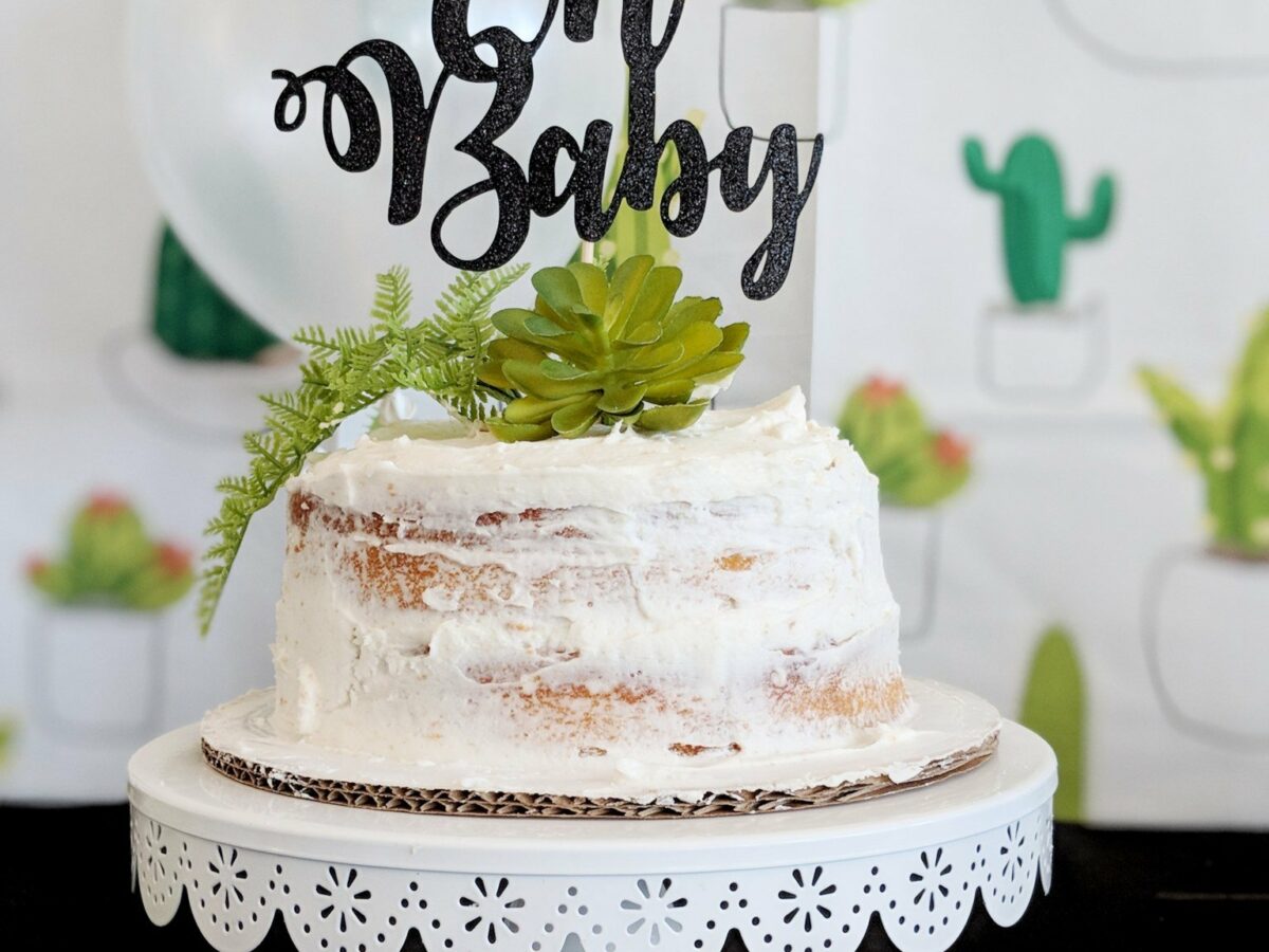 Cactus Themed Baby Shower