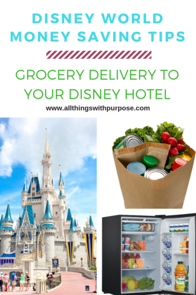 Disney Money Saving Advice: Grocery Delivery