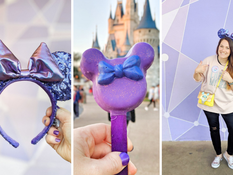 New Purple Potion Everything at Disney World