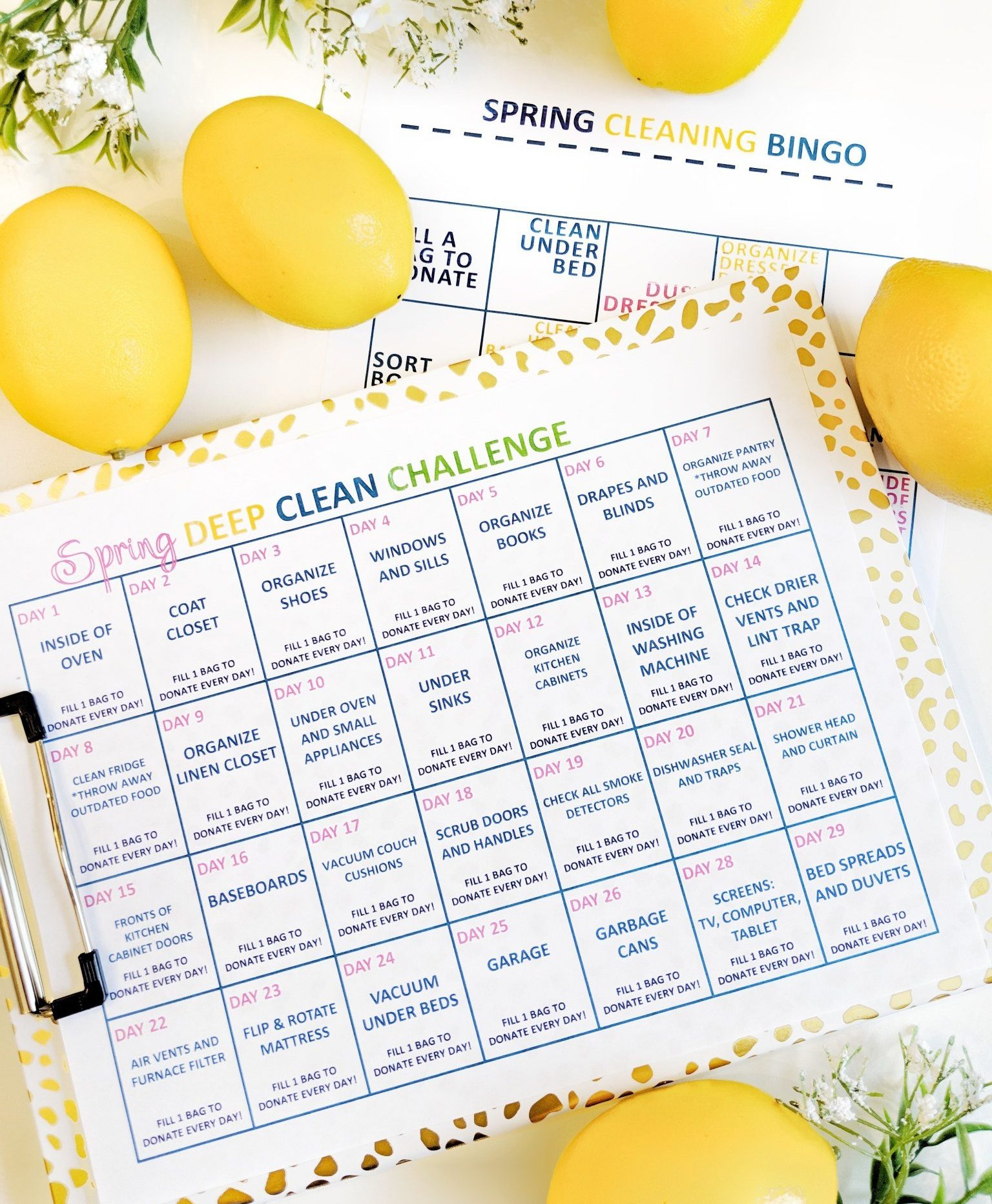 Spring Cleaning Printables for the Whole Family