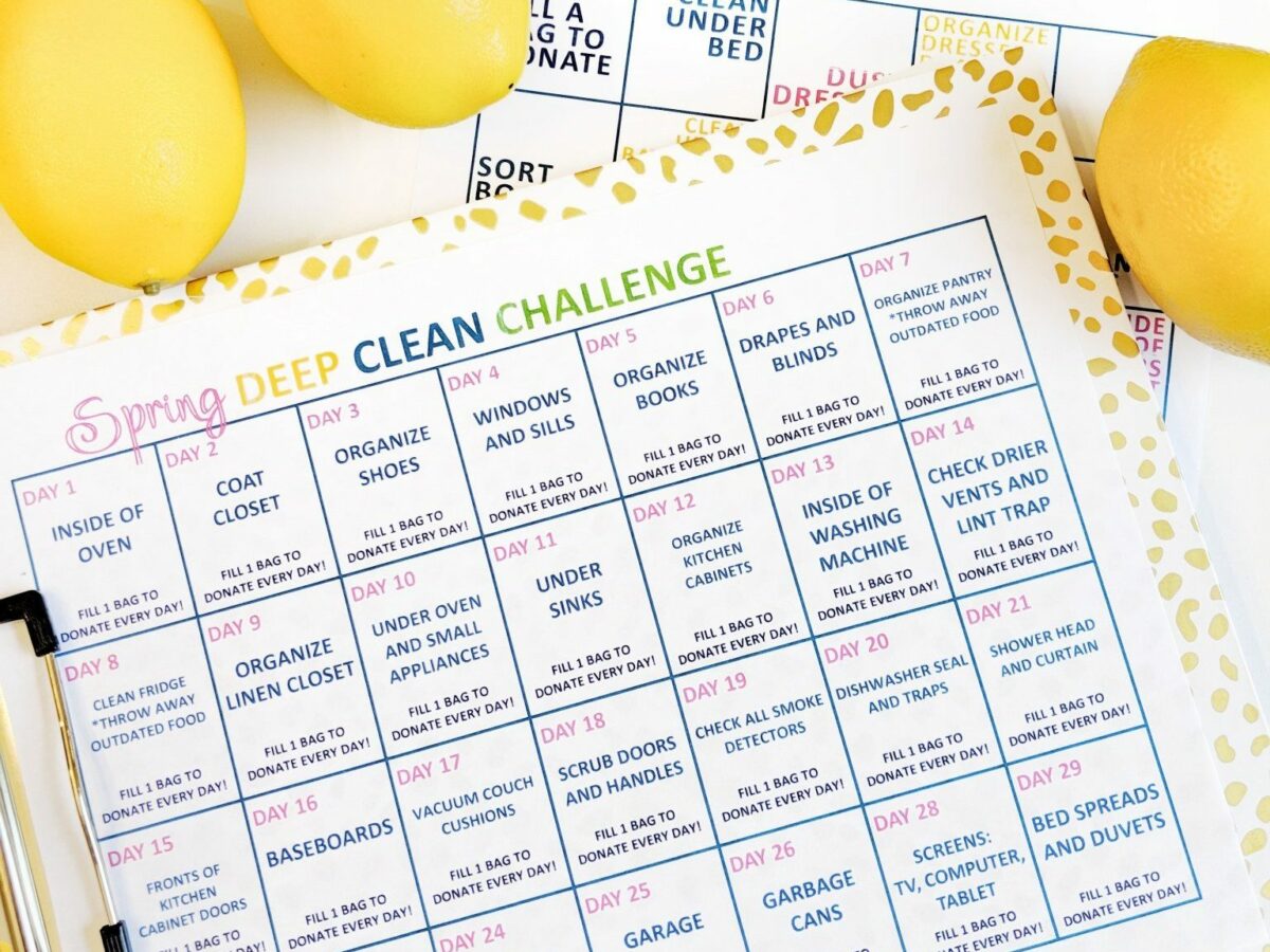 Spring Cleaning Printables for the Whole Family