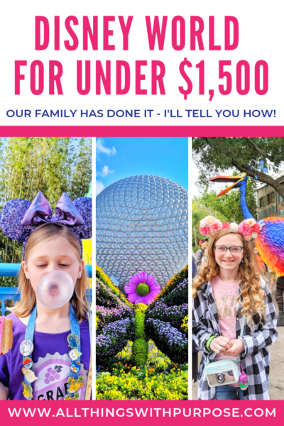 Planning a Super Cheap Disney World Trip with a Budget of $1,500