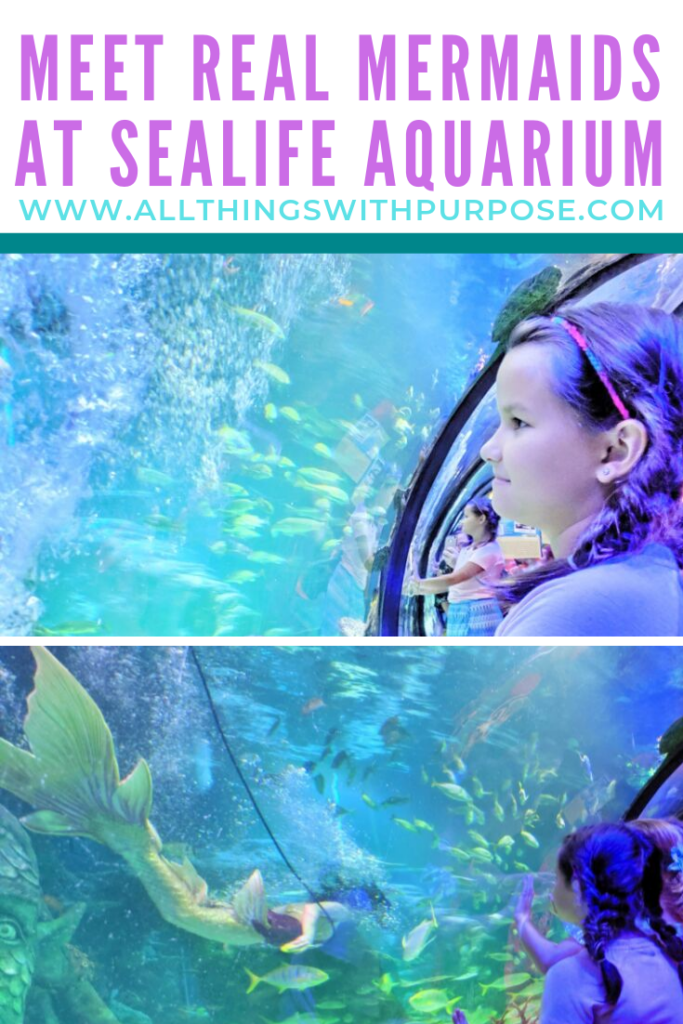 Meet the Mermaids at SEA LIFE Aquarium in Auburn Hills, Michigan