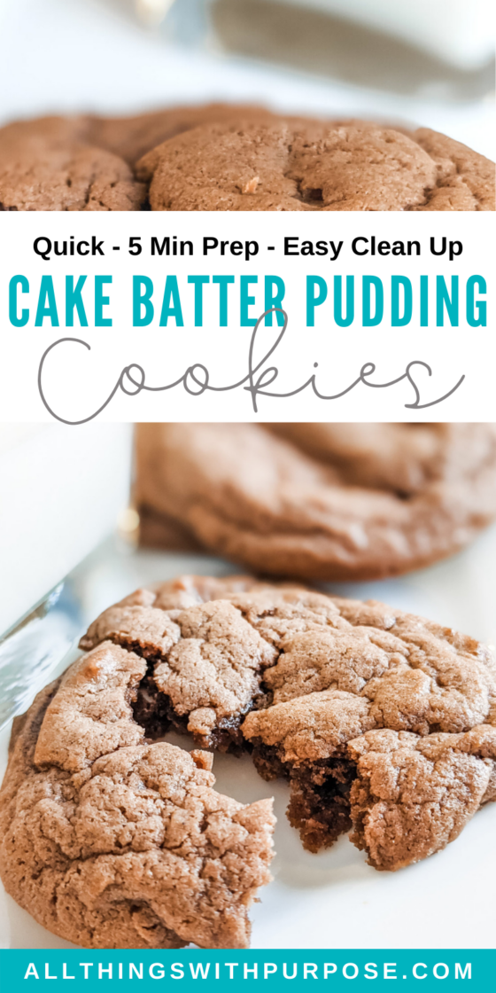 Quick and Easy to Make Cake Batter Pudding Cookies