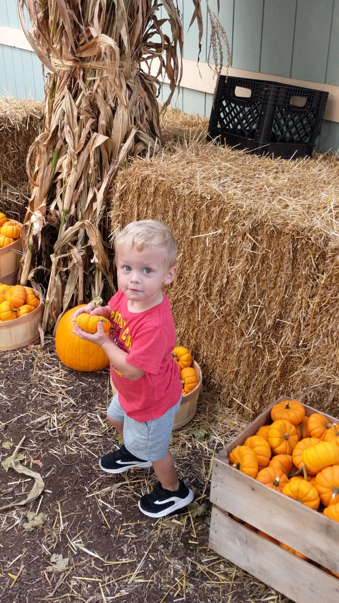 Everything You Need to Know for Cedar Point's HalloWeekends