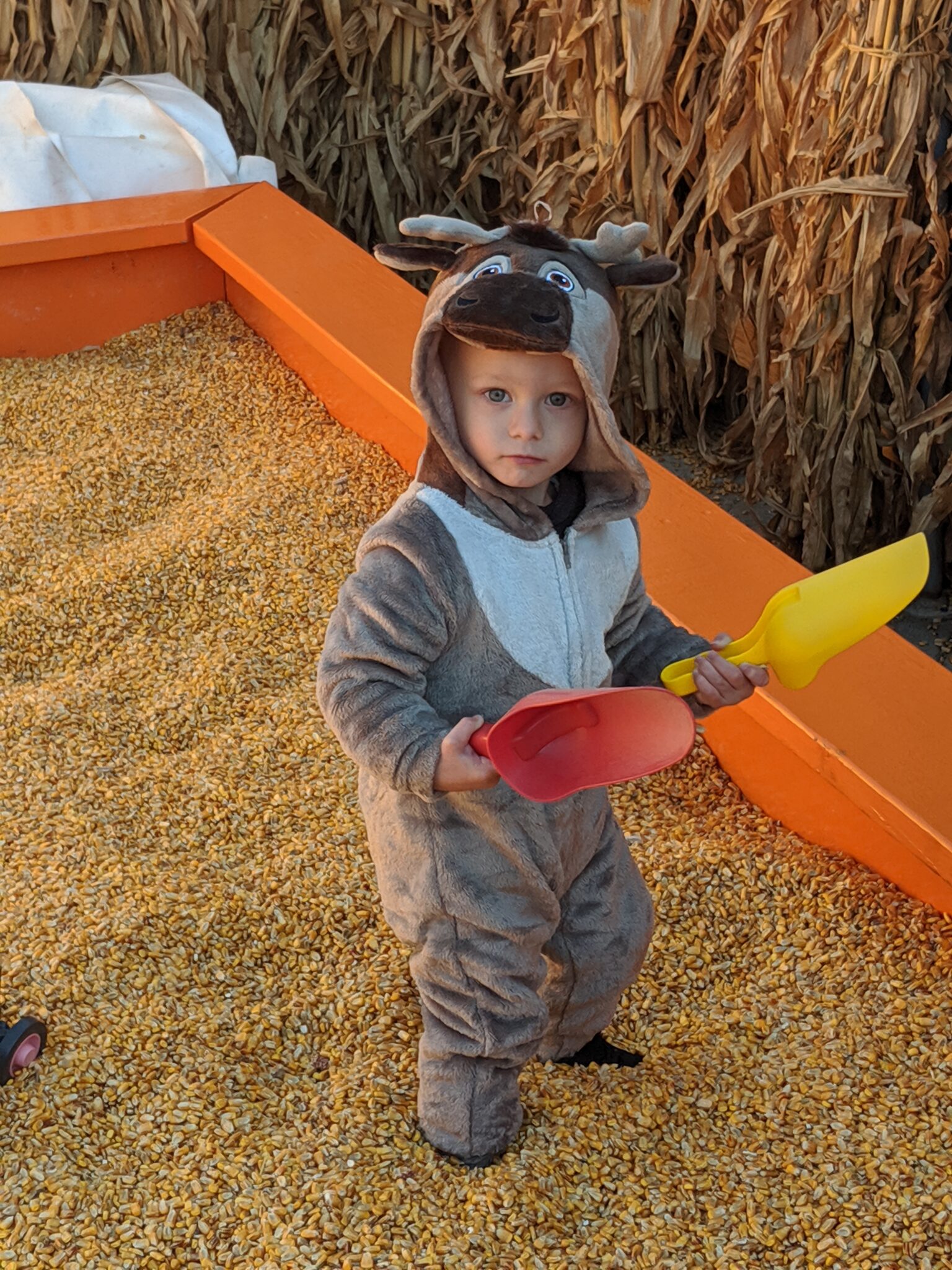 Everything You Need to Know for Cedar Point's HalloWeekends