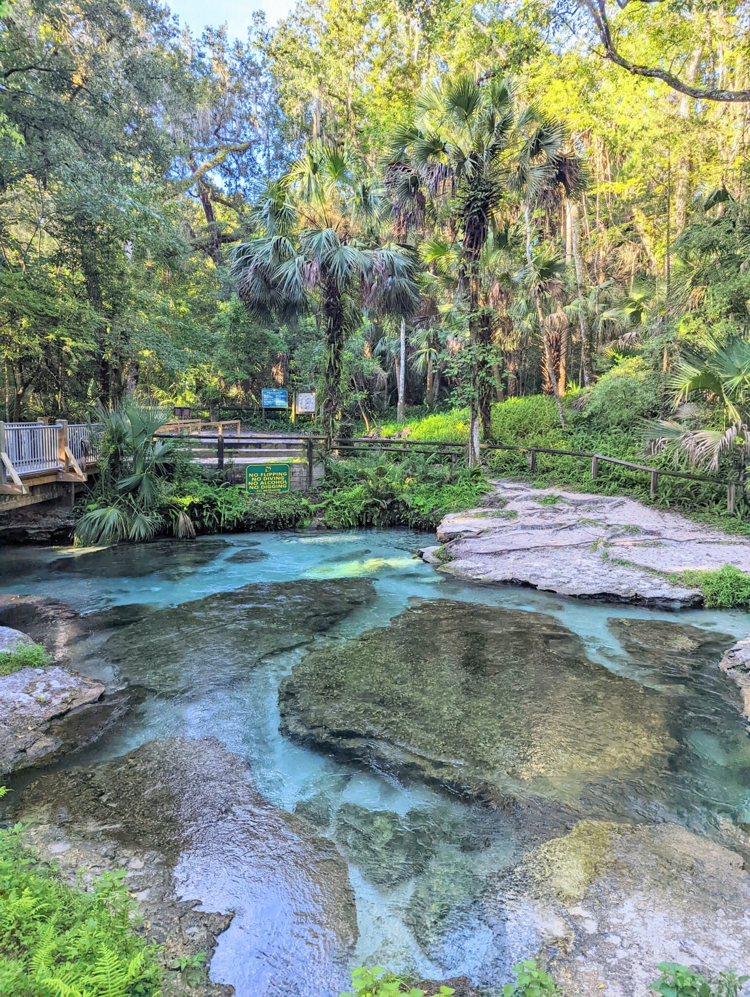 Beautiful Rock Springs Run at Kelly Park in Apopka, Florida