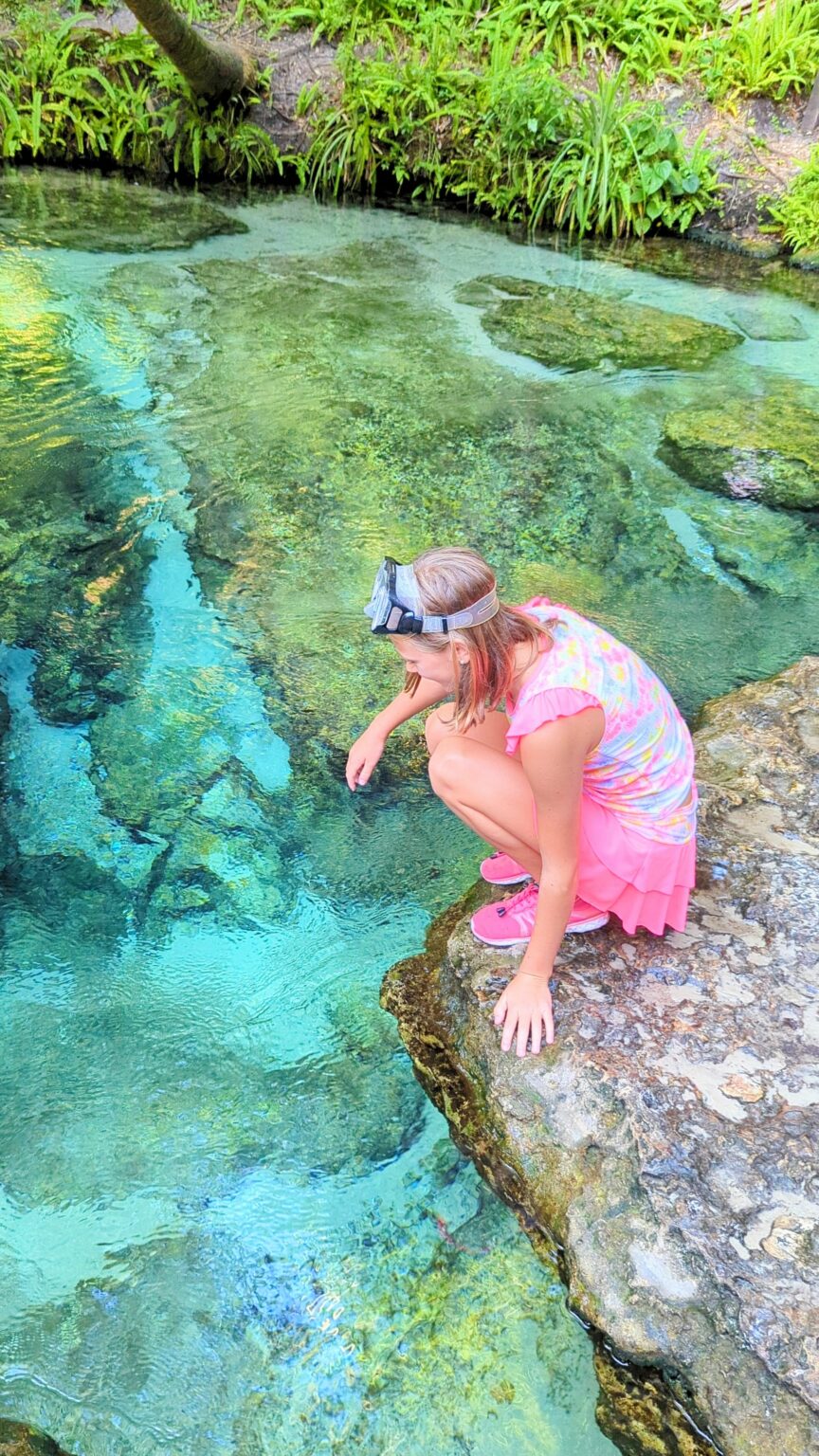 Beautiful Rock Springs Run at Kelly Park in Apopka, Florida