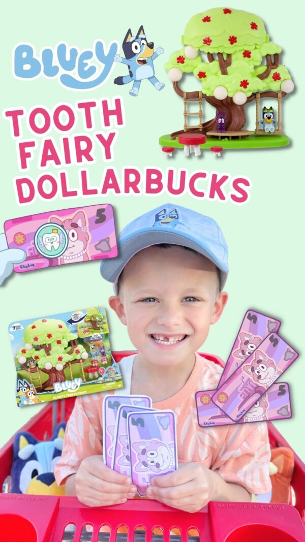 Tooth Fairy Fun with Bluey Dollarbucks and New Toys